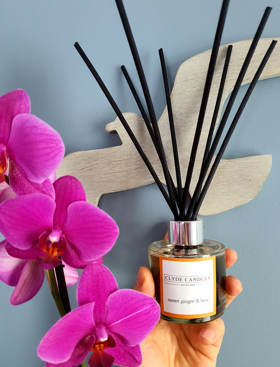 Sweet Ginger & Lime Reed Diffuser - Clyde Candles, Luxury Diffuser Oil ...